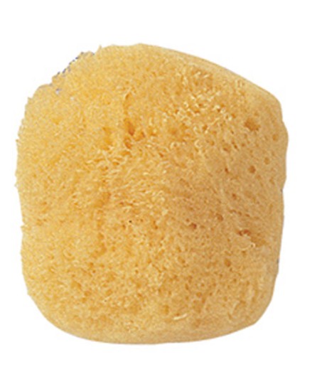 Manicare Cosmetic Sea Sponge - Health Chemist NZ - Online Pharmacy